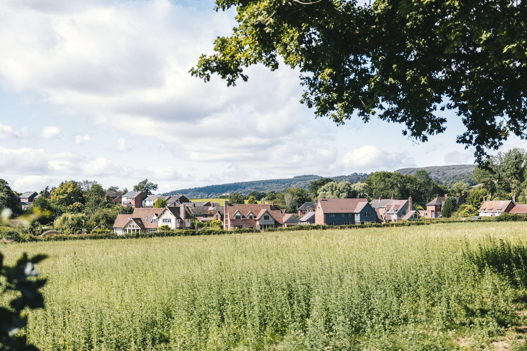 Border Oak Development | Border Oak