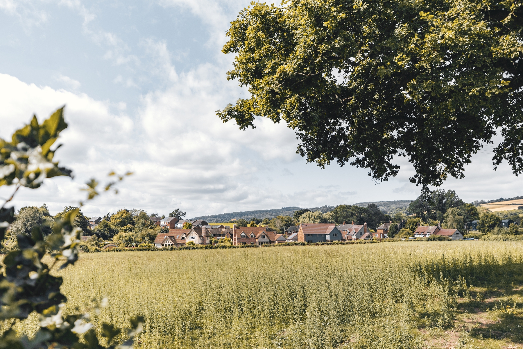 Border Oak Developments | Border Oak