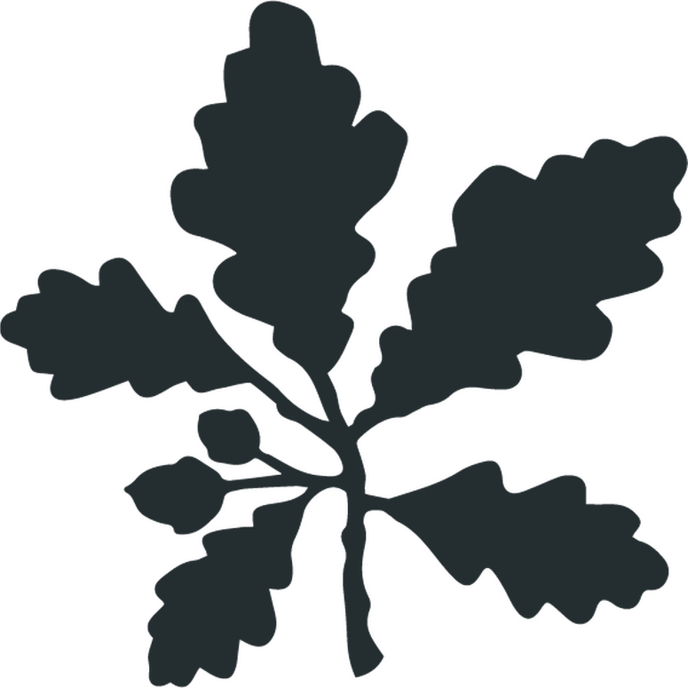 Border Oak rebrand | Border Oak